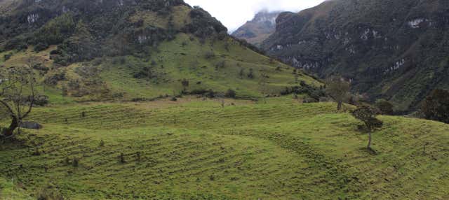 Private El Bosque Trip + Canaán Hot Springs from Murillo - Civitatis
