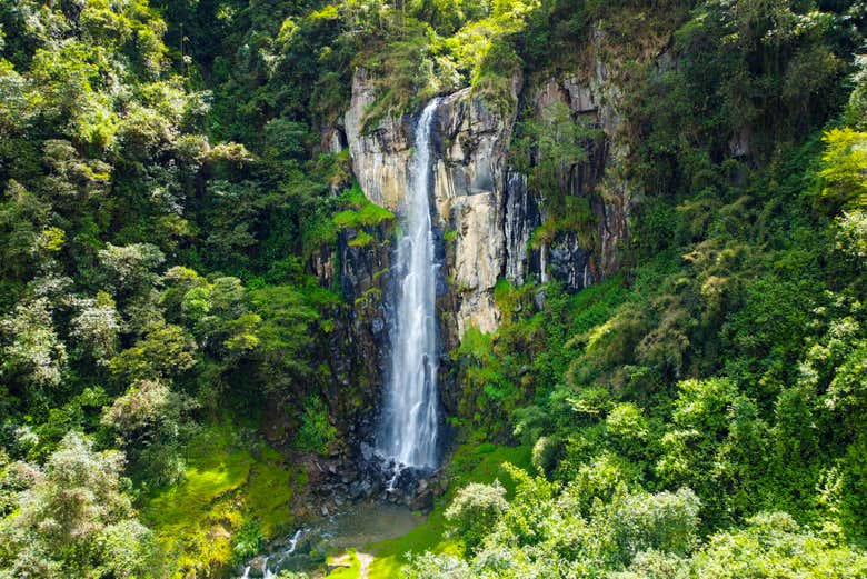Tour de 1 o 2 días por la Reserva Chiliglo desde Puracé - Civitatis México