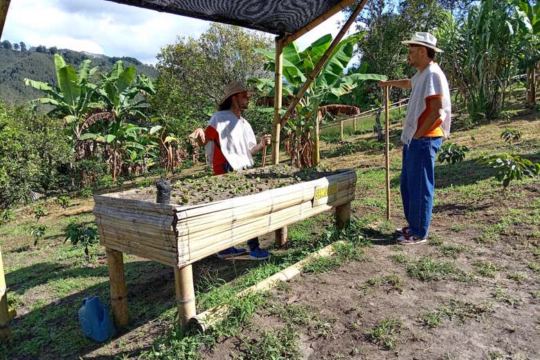 Excursion à Circasia + Visite d'une plantation de café depuis Salento