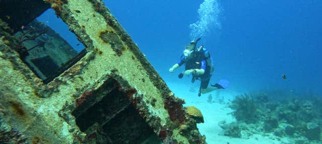 Buceo en la isla de San Andrés - Reserva online en Civitatis.com