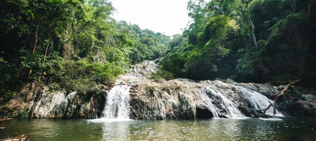 Buritaca River Trip from Santa Marta - Book at Civitatis.com
