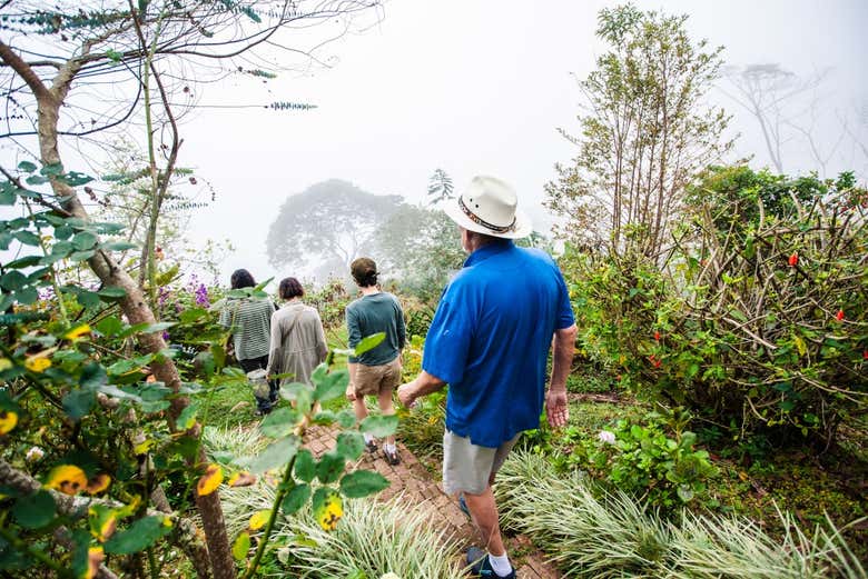 Tour del café por la región de Santa Marta - Civitatis.com