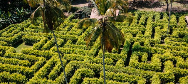 Excursión al laberinto Macondo + Tubing en el río Don Diego desde Santa ...