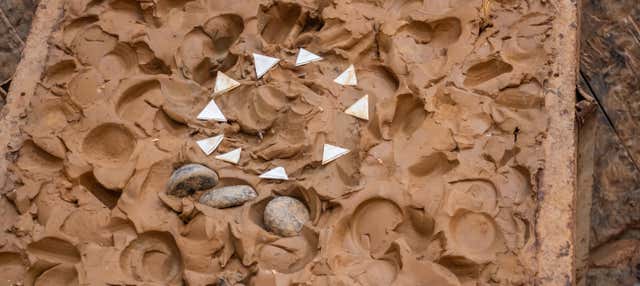 Juego del tejo en Turmequé - Reserva online en Civitatis.com