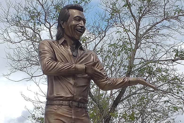 Tour privado de Diomedes Díaz desde Valledupar - Civitatis.com