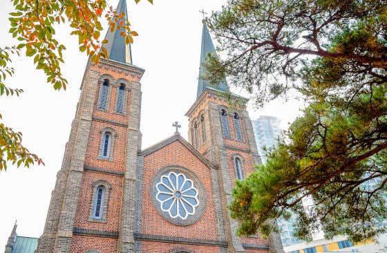 Guided tours, day trips and activities in South Korea - Civitatis