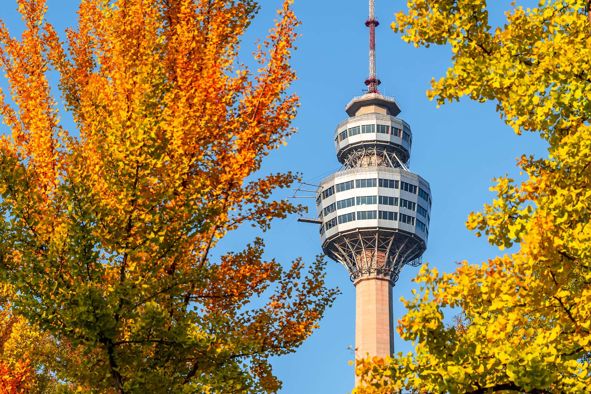 Ingresso do 83 Tower Observatory em Daegu - Civitatis.com