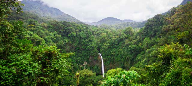 La Fortuna: Waterfall Rappelling at La Roca Canyoning - Civitatis