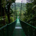 Descubre los mejores tours y actividades en Monteverde - Civitatis