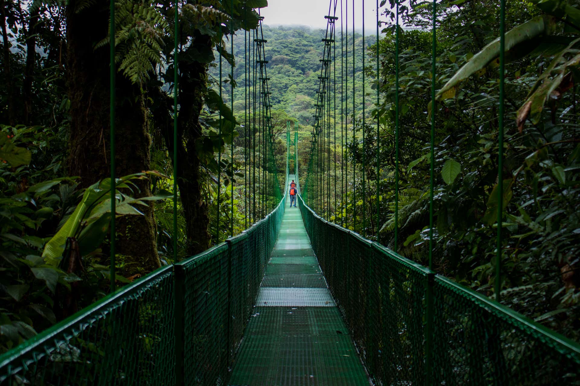 Excursión a Selvatura Park Monteverde - Reserva en Civitatis.com