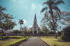 Excursiones, visitas guiadas y actividades en San José