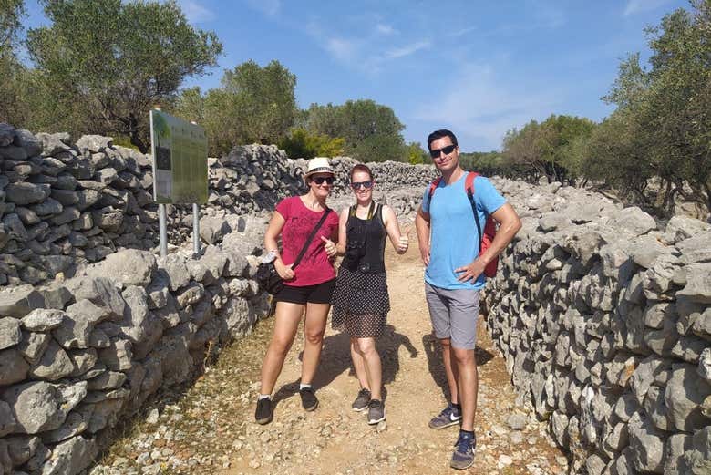 Cres Oil Tour - Book Online at Civitatis.com