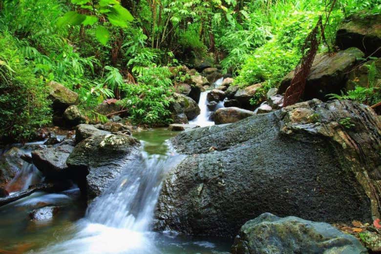 Excursión a El Yunque de Baracoa desde Baracoa - Civitatis