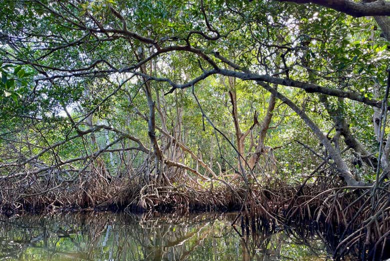 Excursión a Carbonera, Boca de Camarioca y Santa Marta desde Varadero