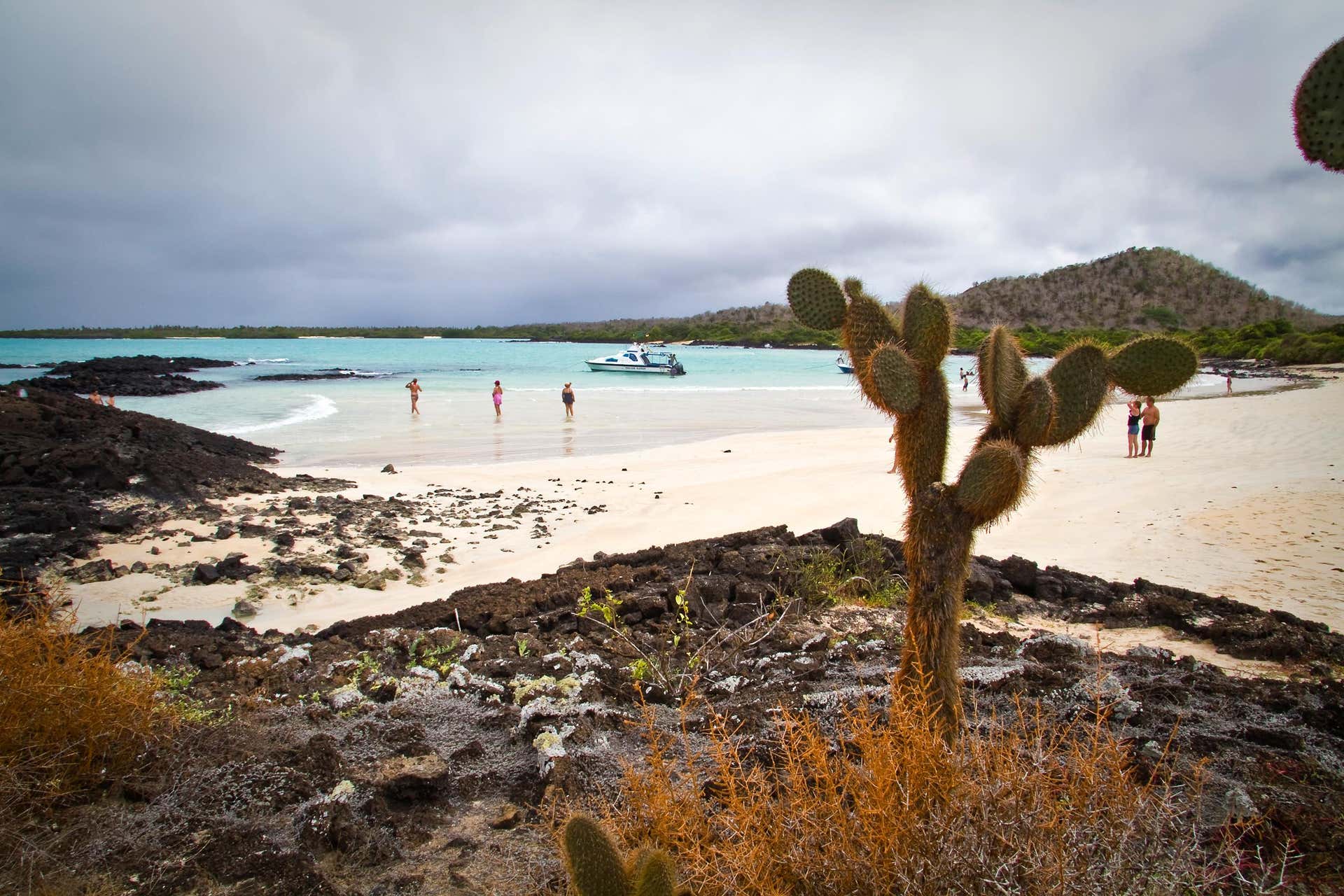 Excursion à la plage El Garrapatero, Île Santa Cruz