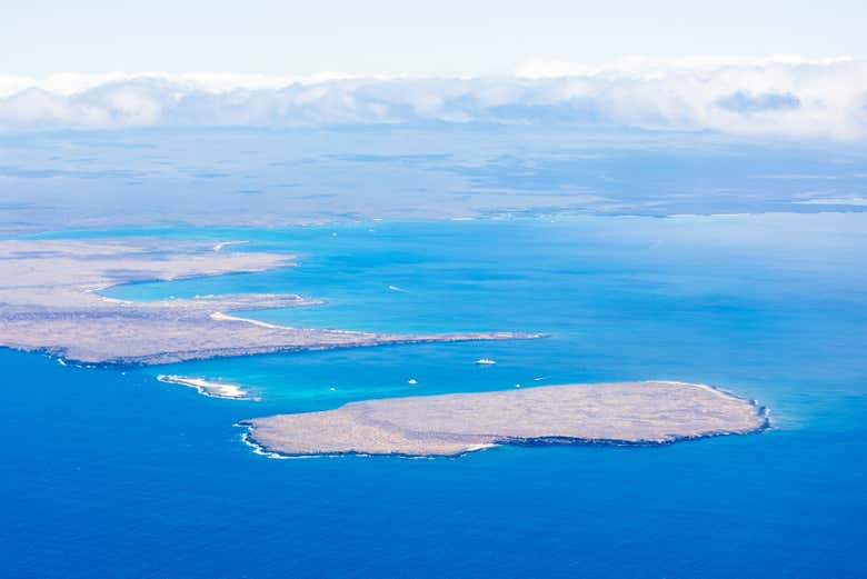 North Seymour Island Tour from Santa Cruz Island - Civitatis.com