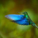 Top Tours and Activities in Quito | Book Online Easily - Civitatis
