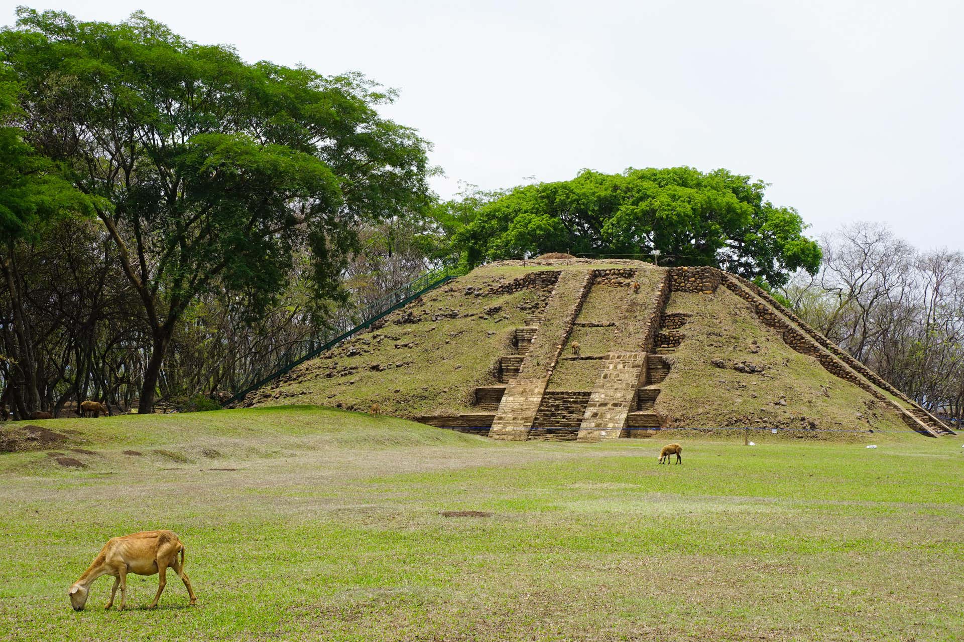 Excursión a Cihuatán y Museo Tesak desde San Salvador