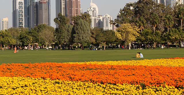 Safa Park - Um dos melhores parques de Dubai