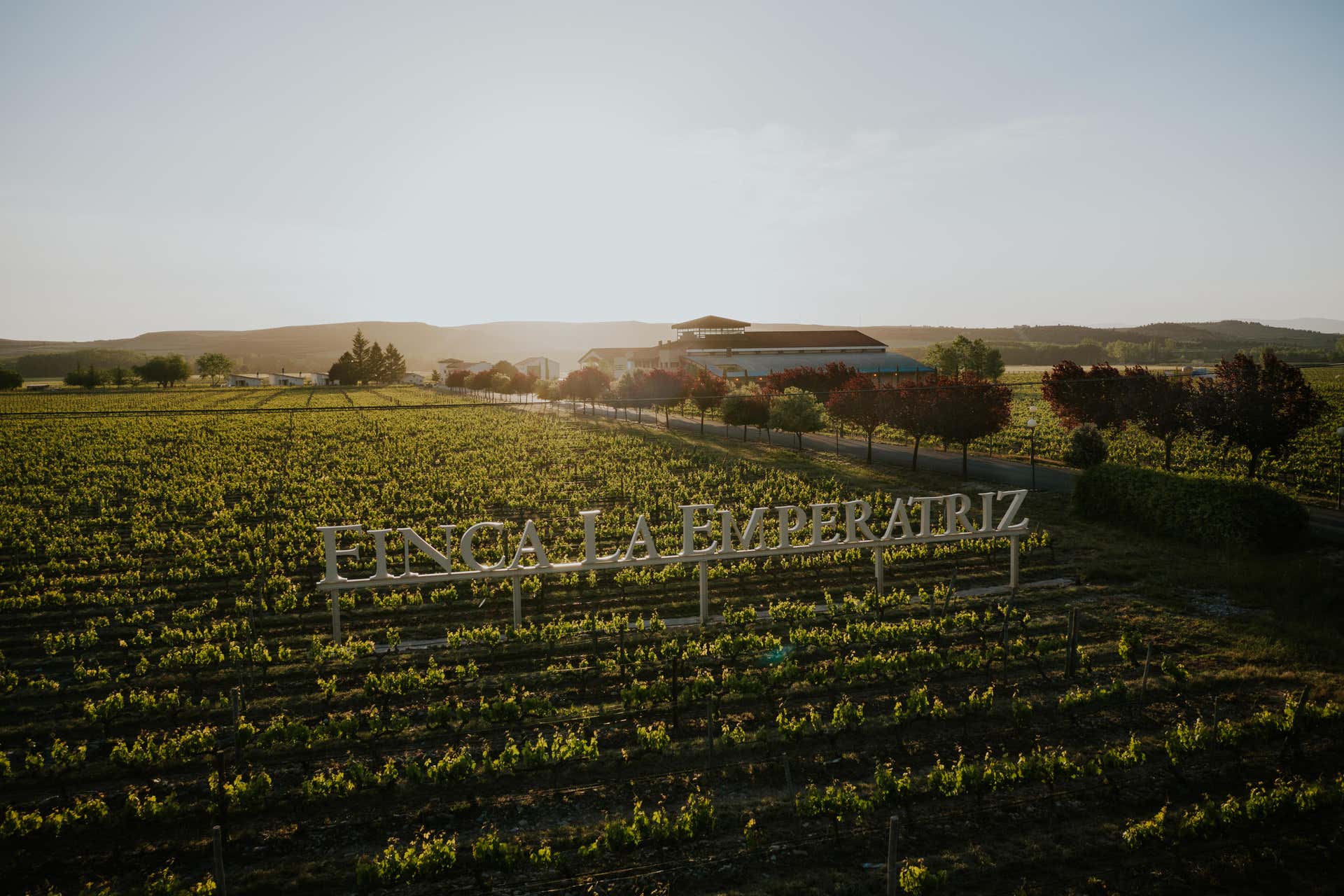 Visita al viñedo de la Finca La Emperatriz, Baños de Rioja