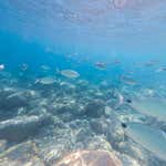 Activities, Guided Tours and Day Trips in Calp - Civitatis.com