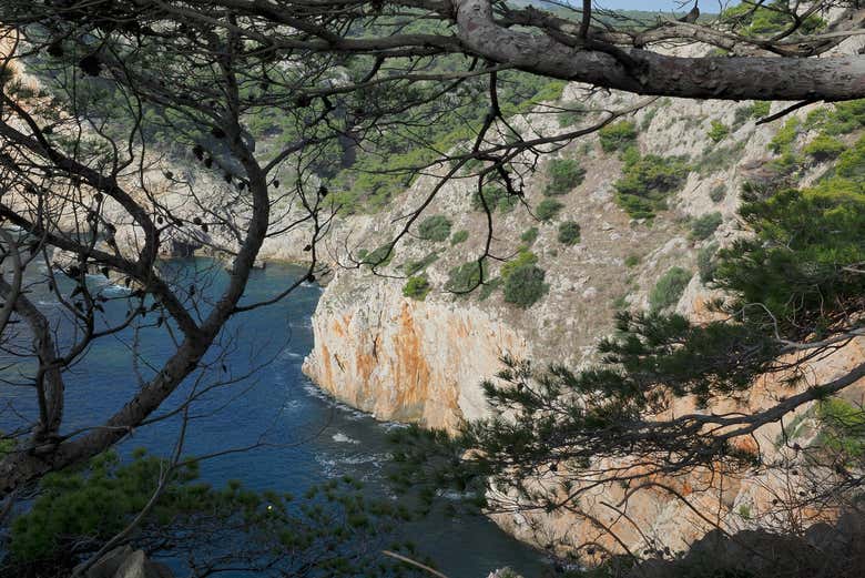 Safari Cruise + Bahía del Parque Natural del Montgrí, Estartit