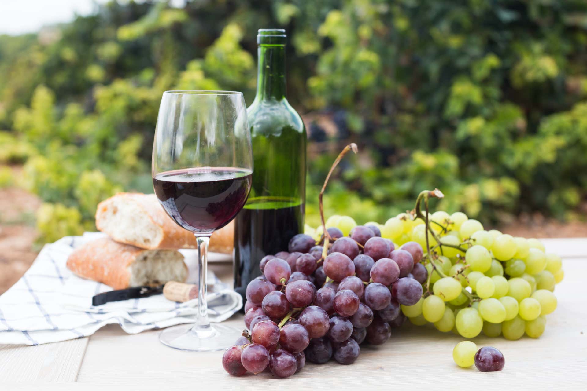 Visita a Eme Bodegas, Fuensaldaña