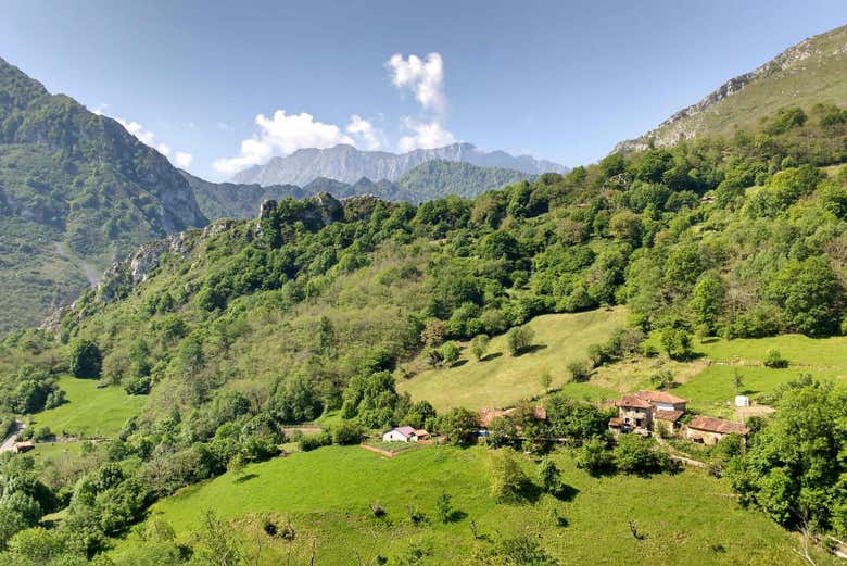 Excursion au parc naturel de Ponga depuis Gijón - Civitatis.com
