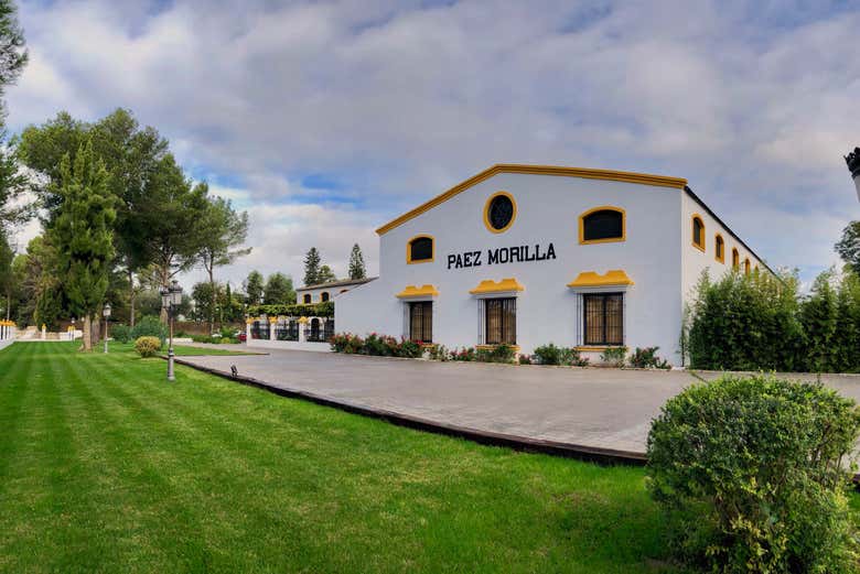 Visite du domaine viticole Bodegas Páez Morilla, Xérès