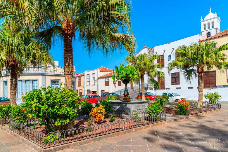 Excursión al Teide, Icod y Garachico desde el sur de Tenerife en La ...