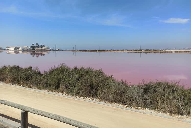 Visita guiada por las salinas de San Pedro del Pinatar en La Manga del ...