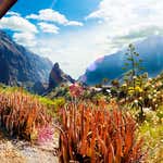 Excursiones, visitas guiadas y actividades en Tenerife - Página 8