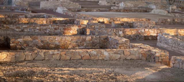 Entrada al Museo de las Villas Romanas de Almenara-Puras - Civitatis