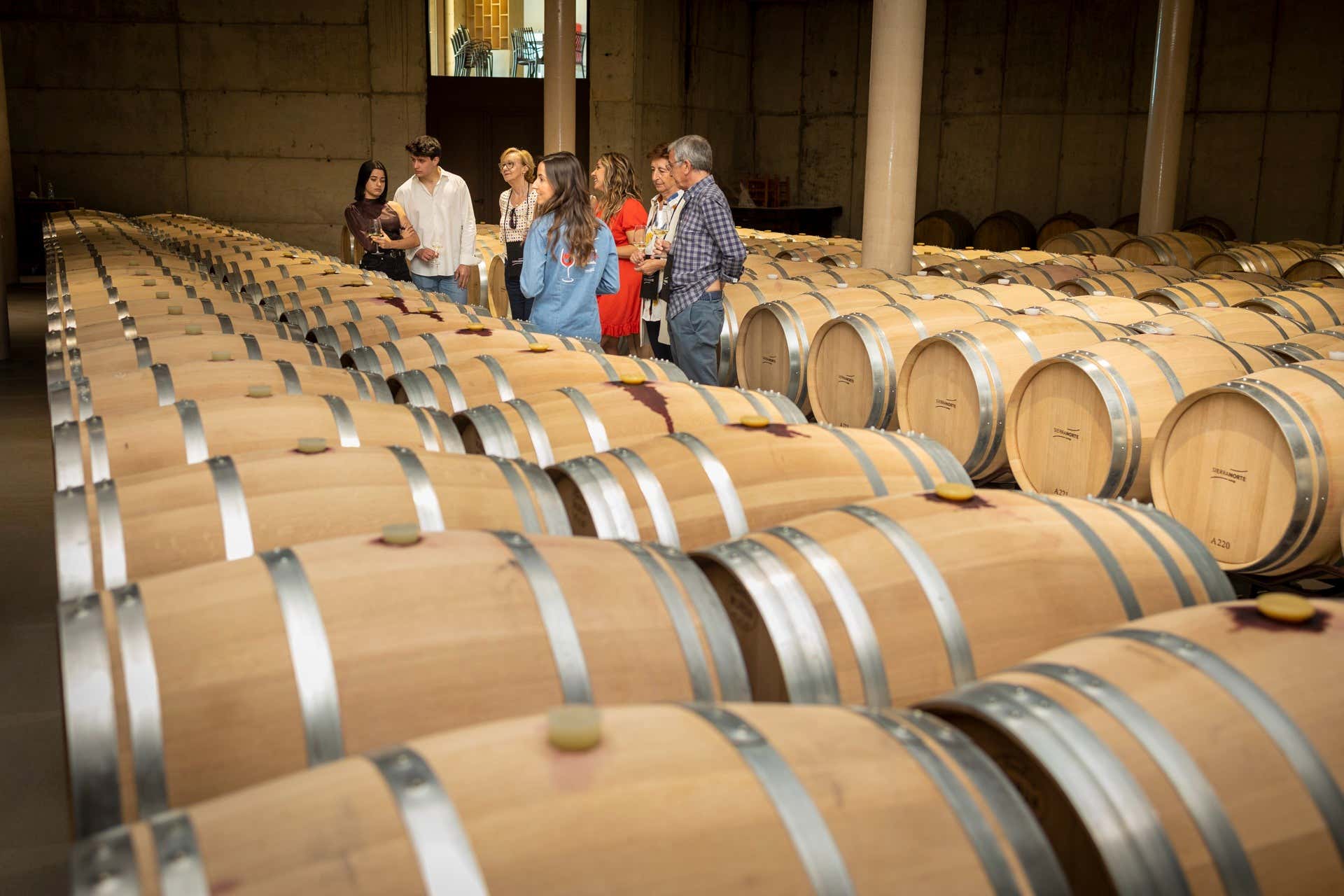 Sierra Norte Winery Tour from Requena - Book at Civitatis.com