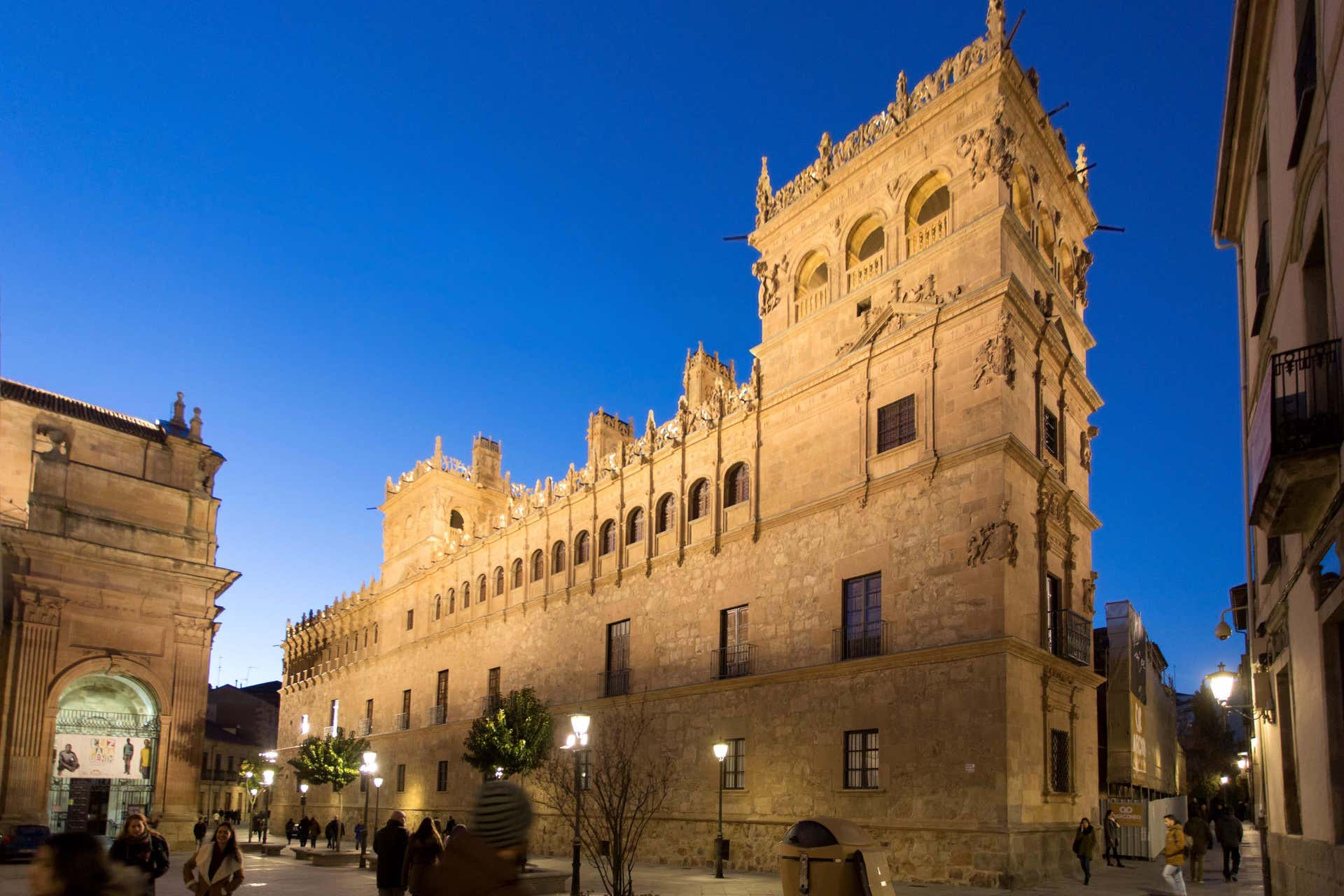 Billet pour le Palais de Monterrey avec audioguide, Salamanque