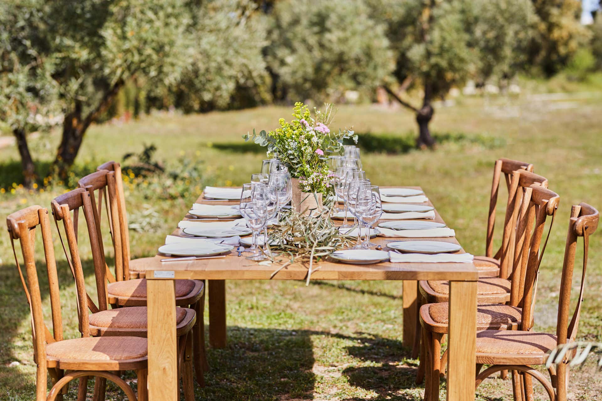 LA Organic Farm Tour + Olive Oil Tasting, Sancellas