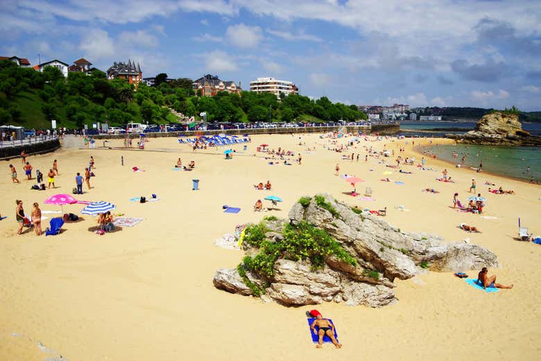 Free tour por El Sardinero y La Magdalena, Santander