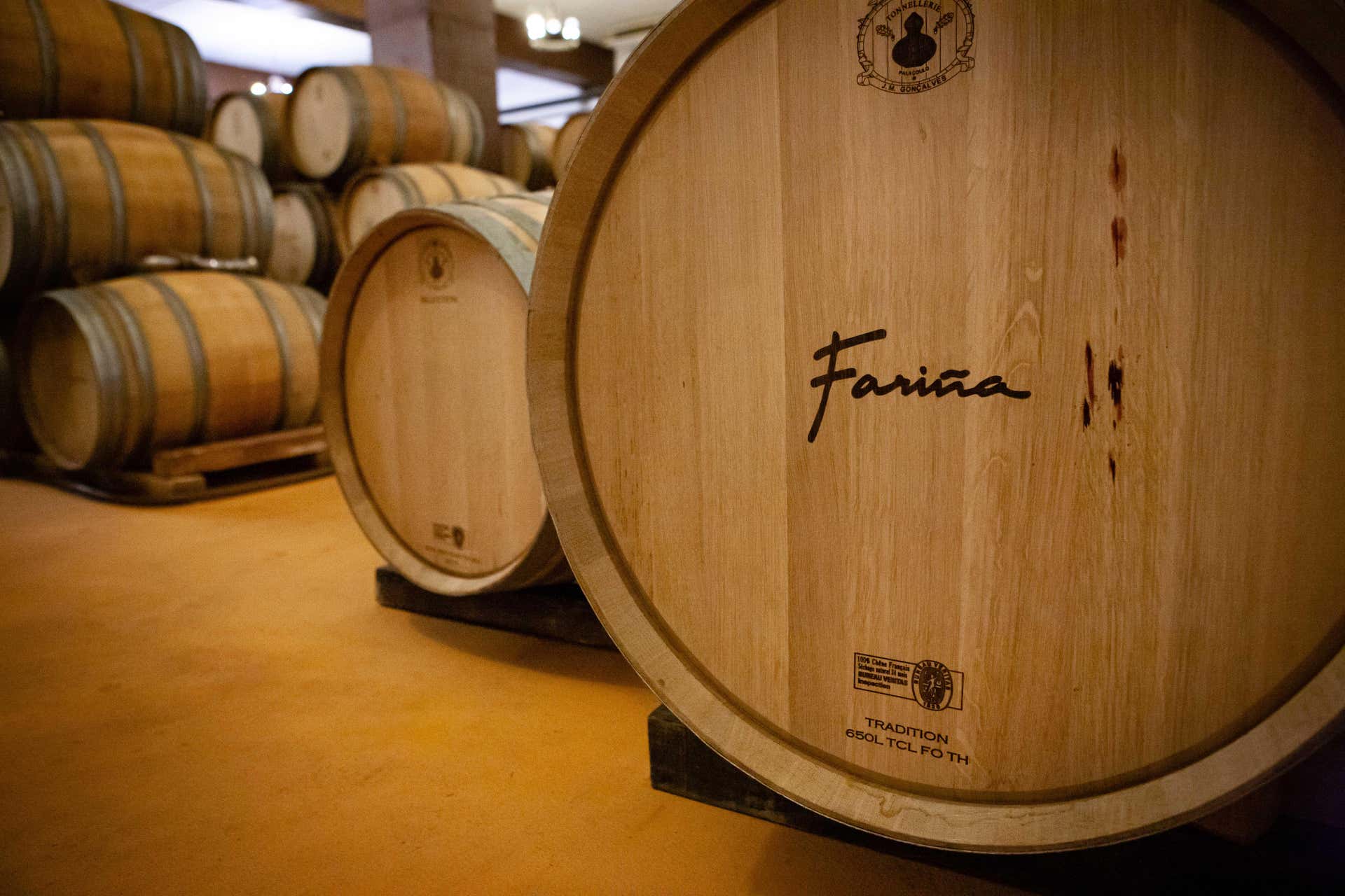 Visita a las bodegas Fariña, Toro