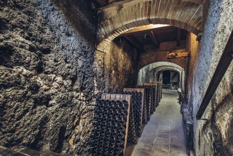 Requena Wine Tour from Valencia - Book Online at Civitatis.com