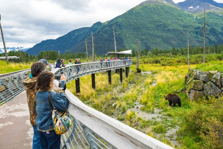 Excursão ao Alaska Wildlife Conservation Center e Girdwood saindo de ...
