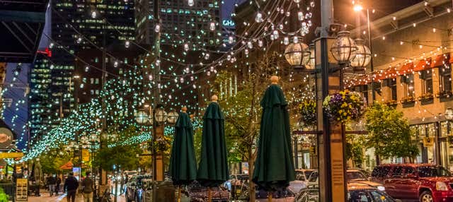 Denver Pub Crawl - Book Online at Civitatis.com