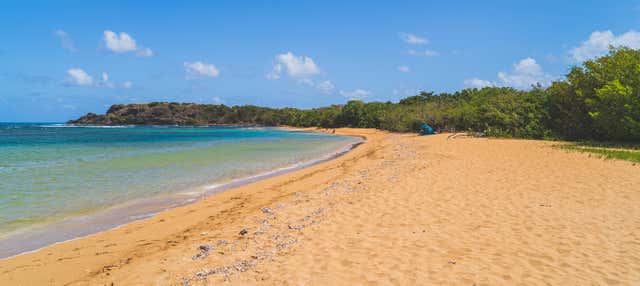 Excursión a Playa Escondida desde Fajardo - Civitatis.com