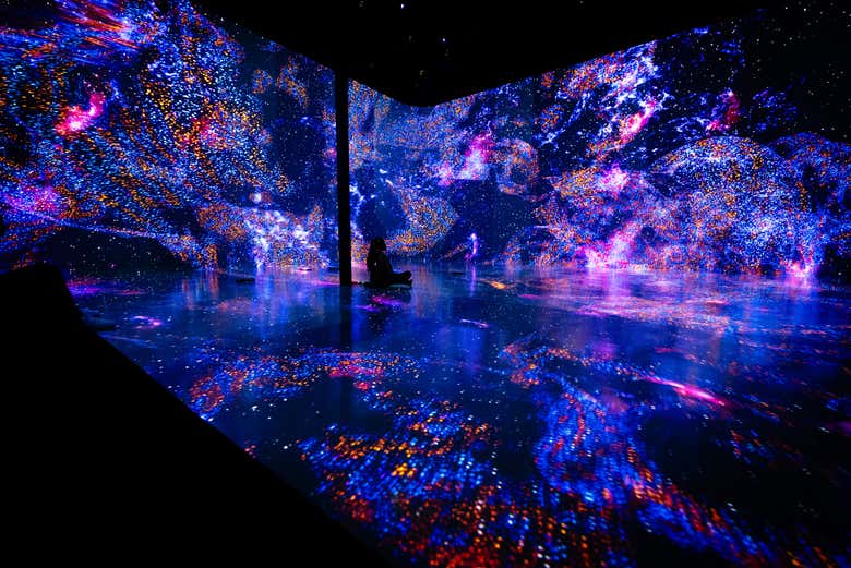 ARTECHOUSE Houston | Official Tickets - Book at Civitatis.com