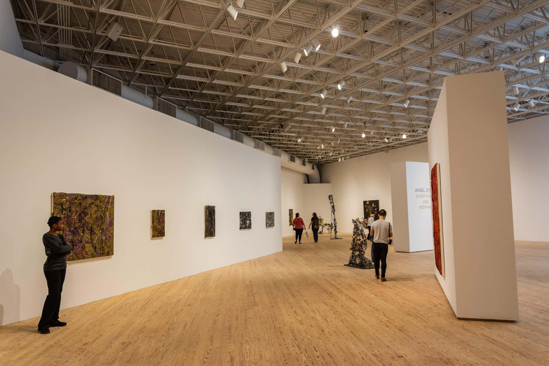 Houston Museum Pass - Book Online at Civitatis.com