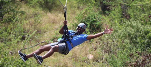 Kapolei Zip Line Tour - Book Online at Civitatis.com
