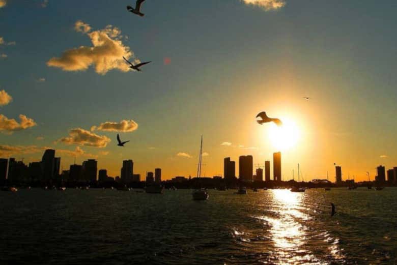 Paseo en barco al atardecer por Miami - Reserva en Civitatis.com