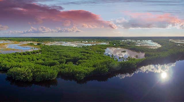 Everglades - The Everglades National Park, Florida