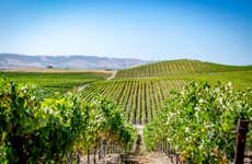 Excursiones, visitas guiadas y actividades en Napa - Civitatis.com México