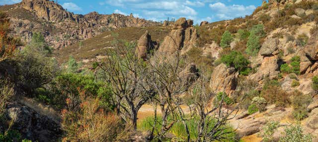 San Andreas Fault 4x4 Tour from Palm Springs - Civitatis.com