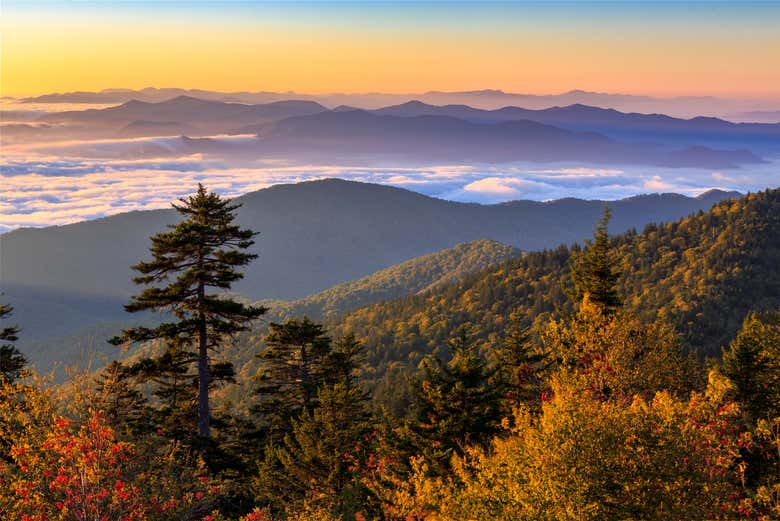 Smoky Mountains SightSeeing Pass, carte touristique de Pigeon Forge ...